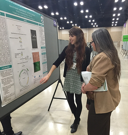 RiseGallery - Thumbnails